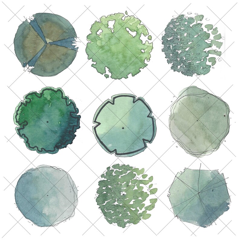 Landscape Graphics - Plan View Trees - Watercolor Pencil - Cool Green ...