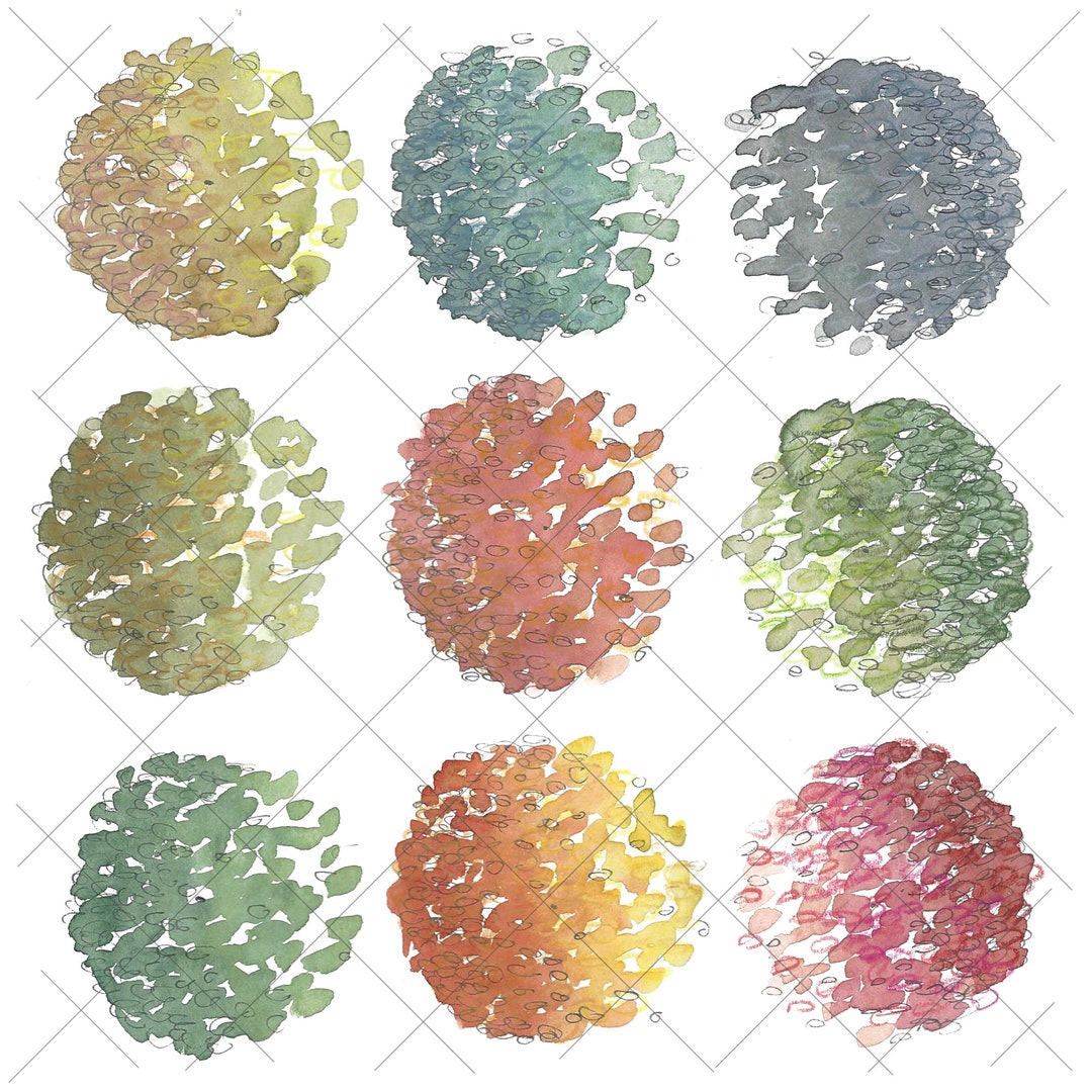 Landscape Graphics - Plan View Trees - Watercolor Pencil - Tree 014 - Etsy