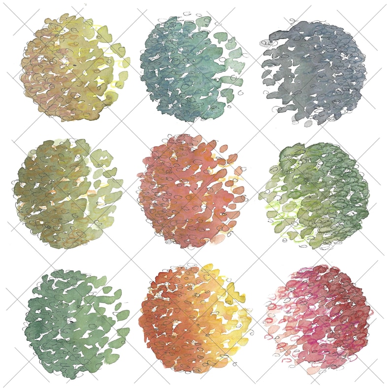 Landscape Graphics - Plan View Trees - Watercolor Pencil - Tree 014 - Etsy