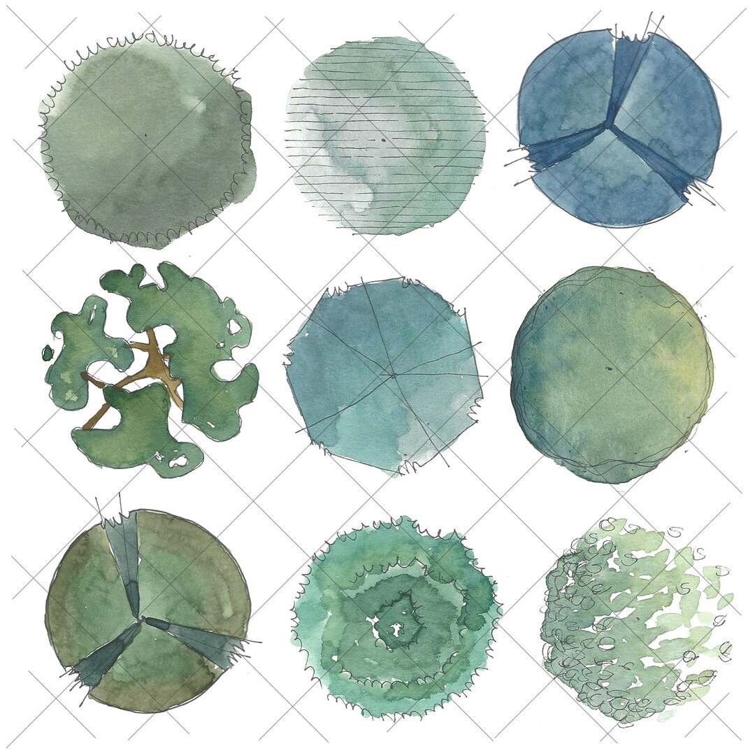 Landscape Graphics - Plan View Trees - Watercolor Pencil - Cool Green ...