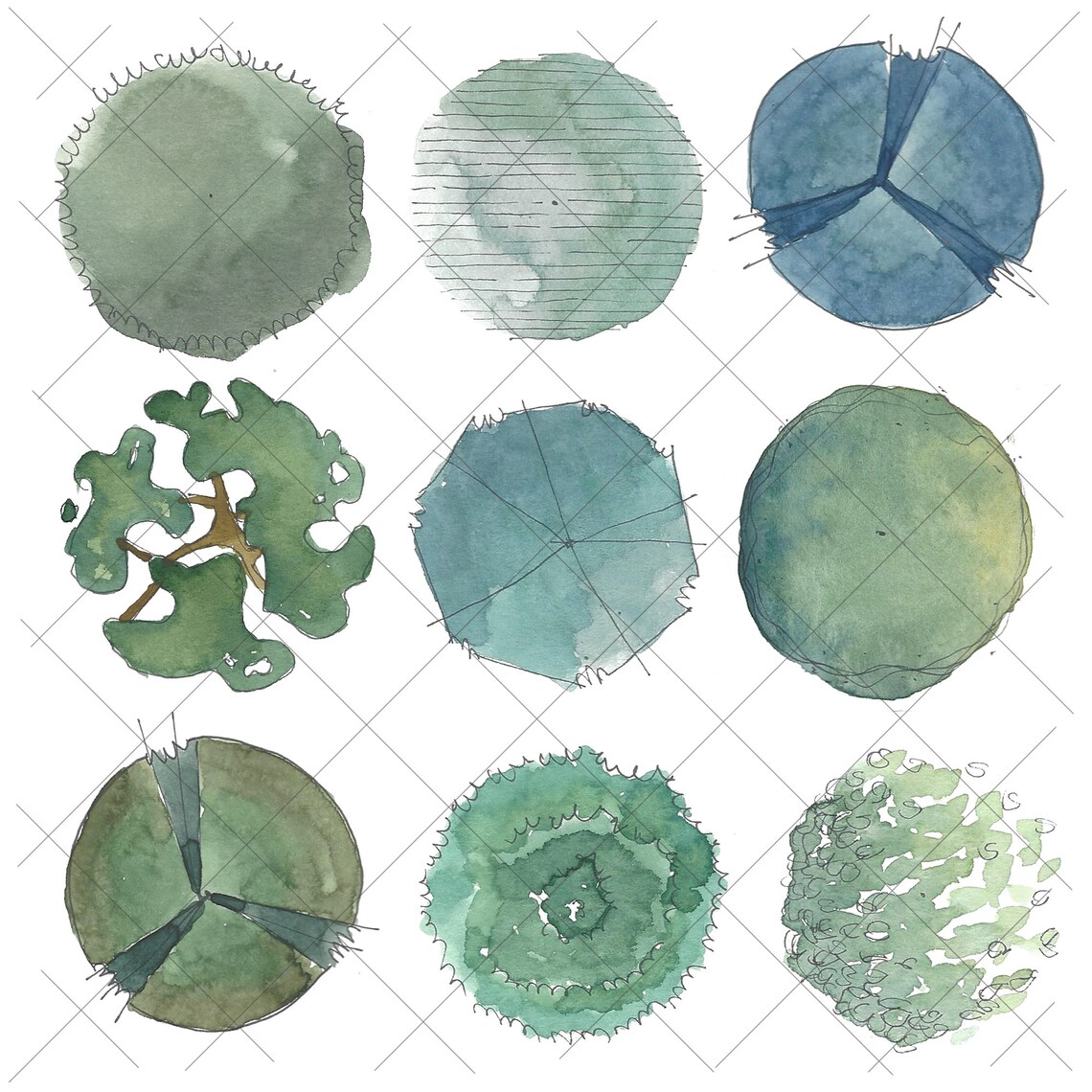 Landscape Graphics - Plan View Trees - Watercolor Pencil - Cool Green ...