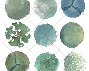 Landscape Graphics - Plan View Trees - Watercolor Pencil - Tree 003 ...