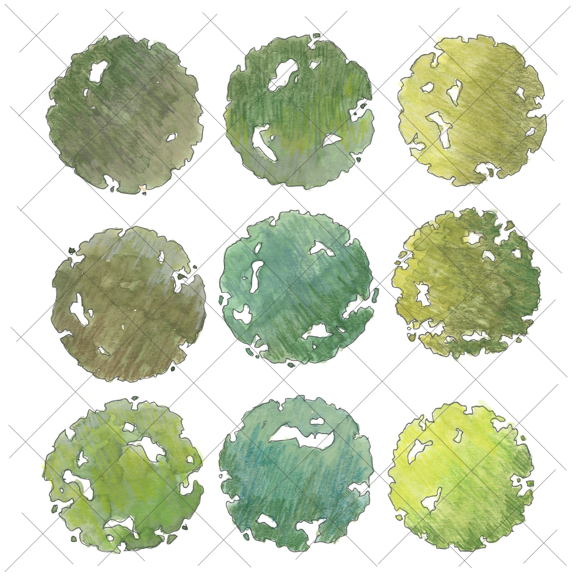 Landscape Graphics - Plan View Trees - Watercolor Pencil - Tree 001 ...