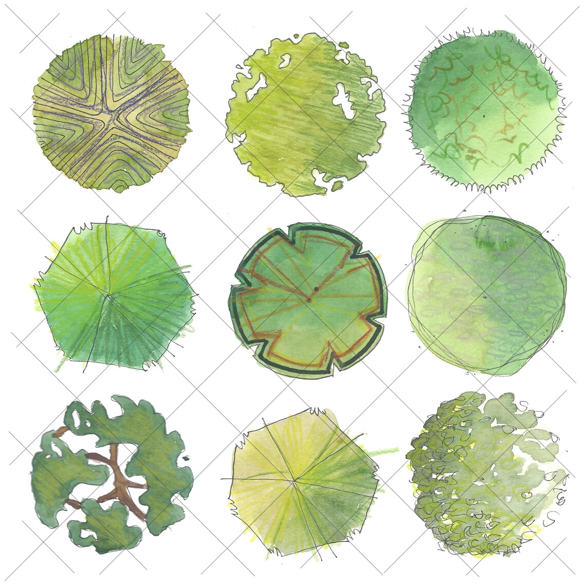 Landscape Graphics - Plan View Trees - Watercolor Pencil - Bright Green ...