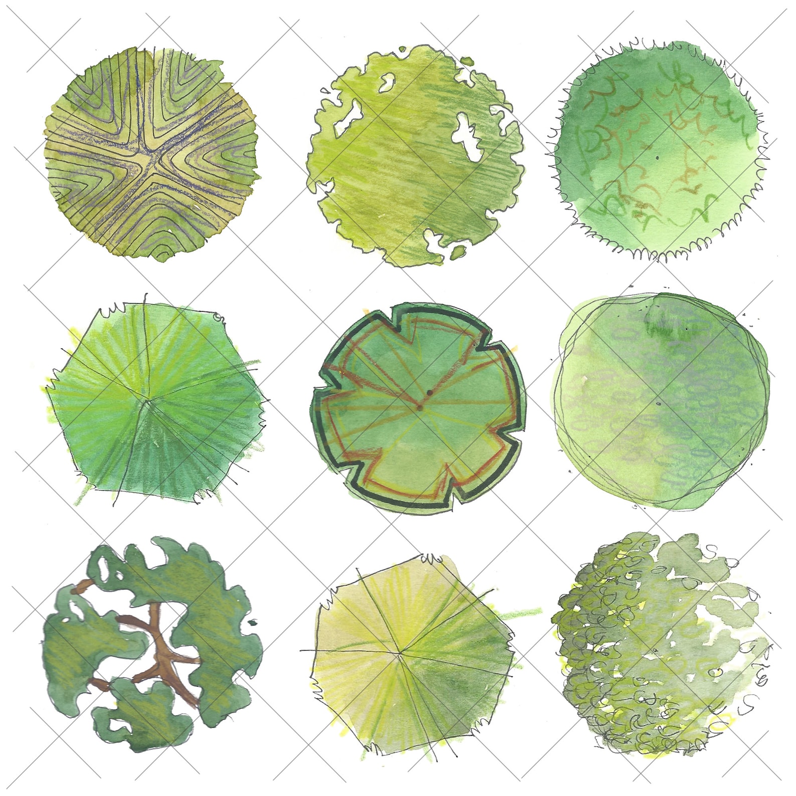 Landscape Graphics - Plan View Trees - Watercolor Pencil - Bright Green ...