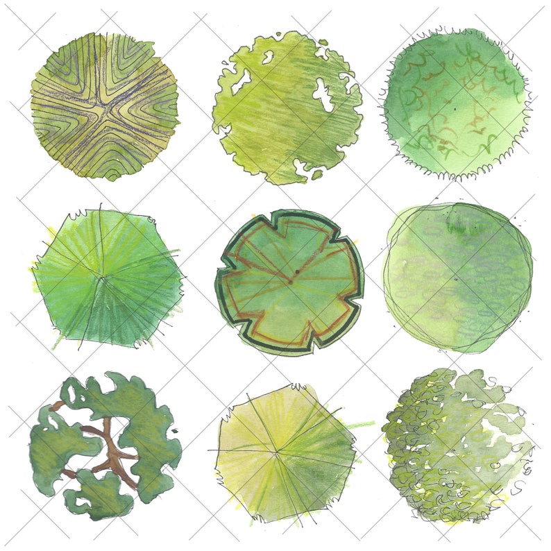 Landscape Graphics - Plan View Trees - Watercolor Pencil - Bright Green ...