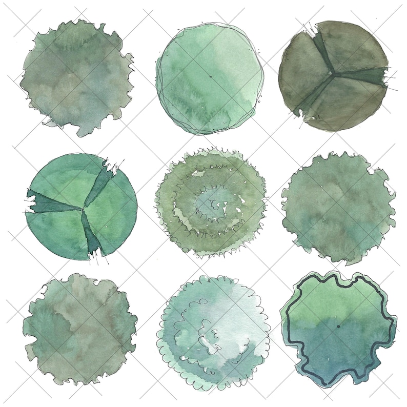 Landscape Graphics - Plan View Trees - Watercolor Pencil - Cool Green ...