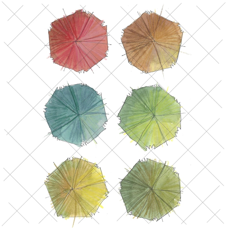 Landscape Graphics - Plan View Trees - Watercolor Pencil - Tree 013 - Etsy