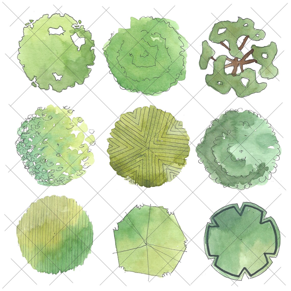 Landscape Graphics - Plan View Trees - Watercolor - Bright Green ...