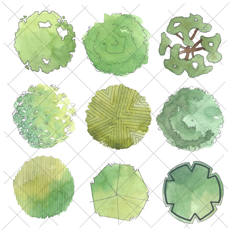 Landscape Graphics - Plan View Trees - Watercolor - Bright Green ...