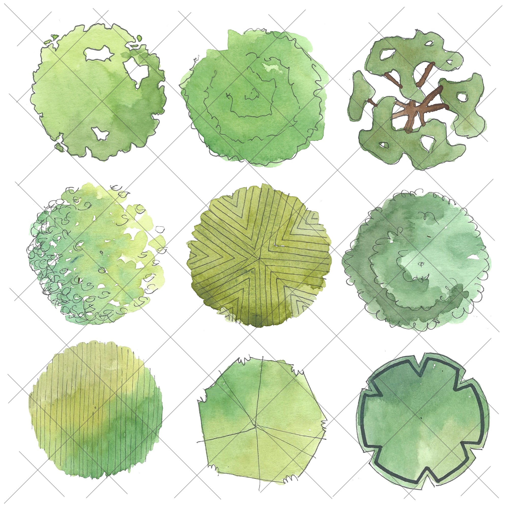 Landscape Graphics - Plan View Trees - Watercolor - Bright Green ...