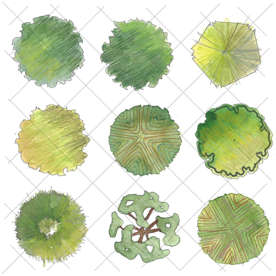 Landscape Graphics - Plan View Trees - Watercolor Pencil - Bright Green ...