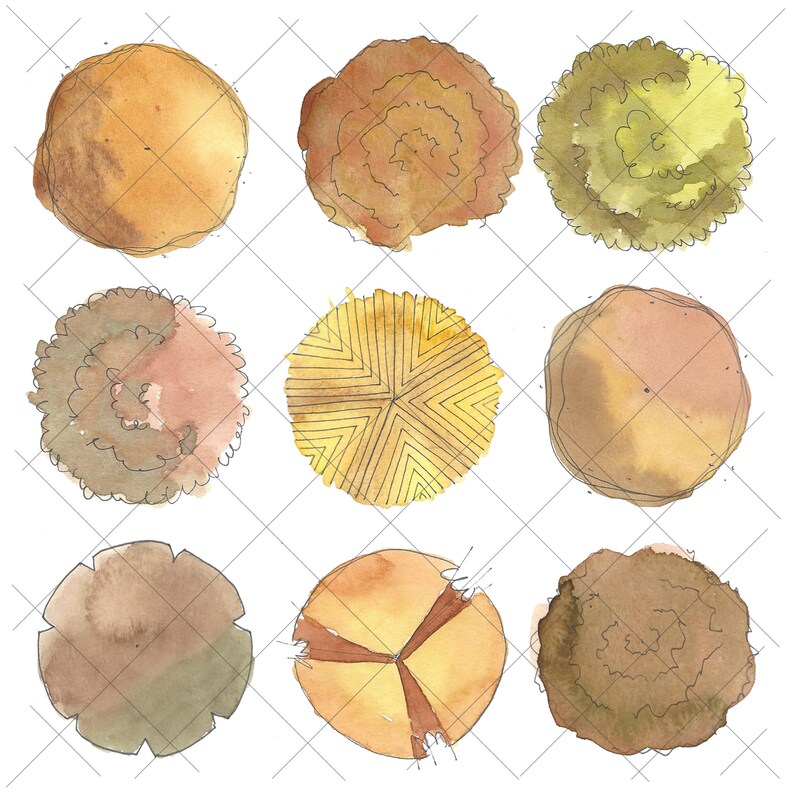 Landscape Graphics - Plan View Trees - Watercolor - Brown Variety - Etsy