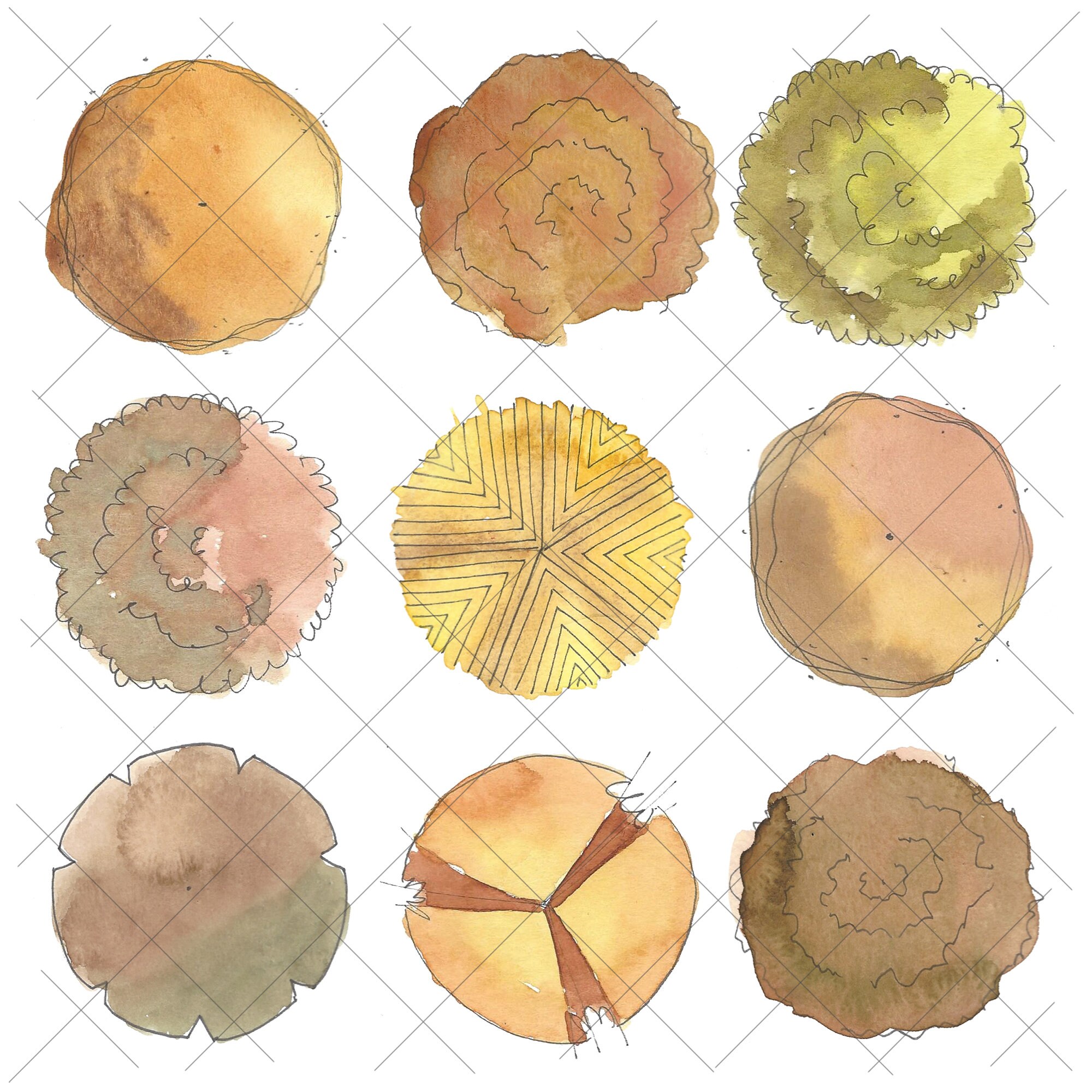 Landscape Graphics - Plan View Trees - Watercolor - Brown Variety - Etsy