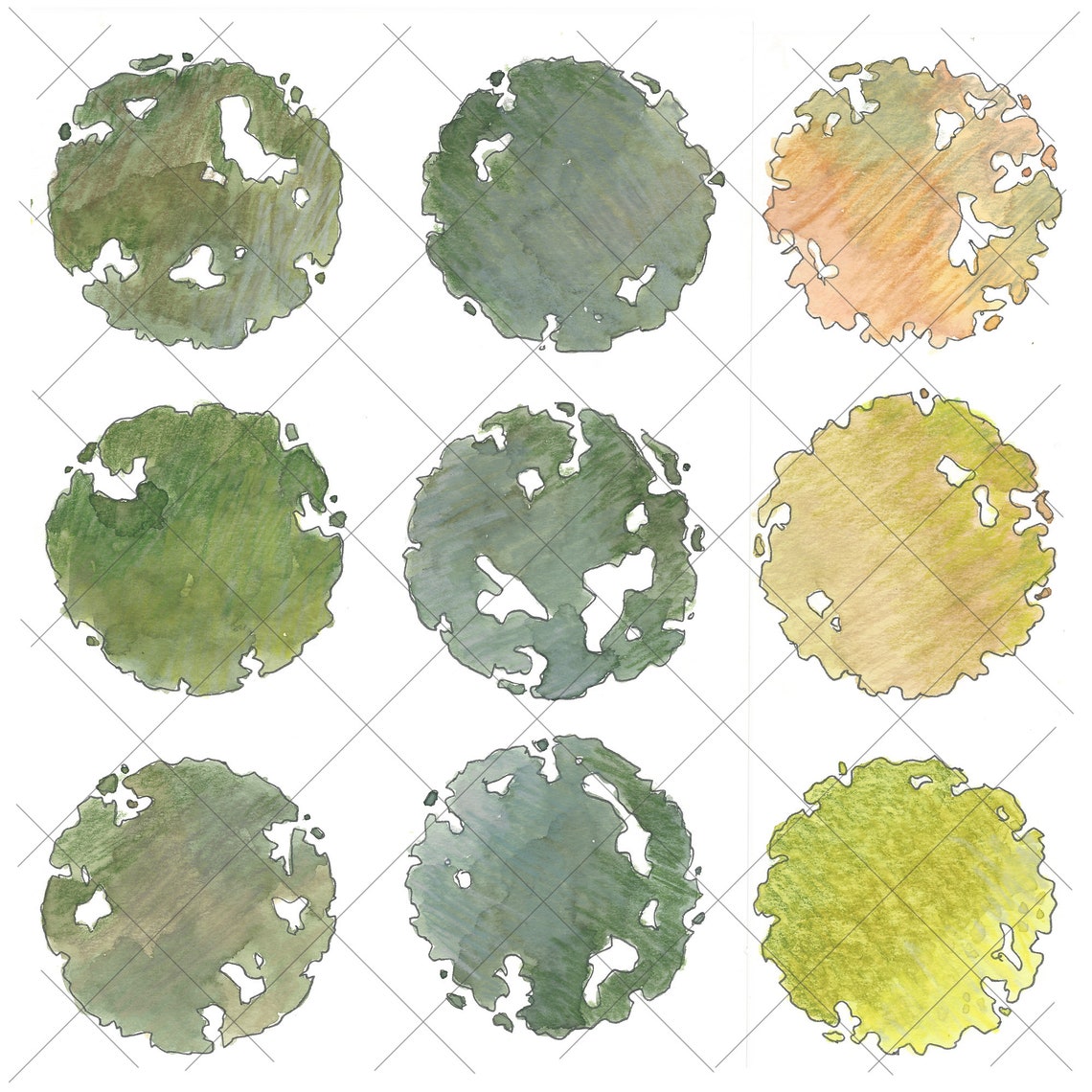 Landscape Graphics - Plan View Trees - Watercolor Pencil - Tree 001 ...