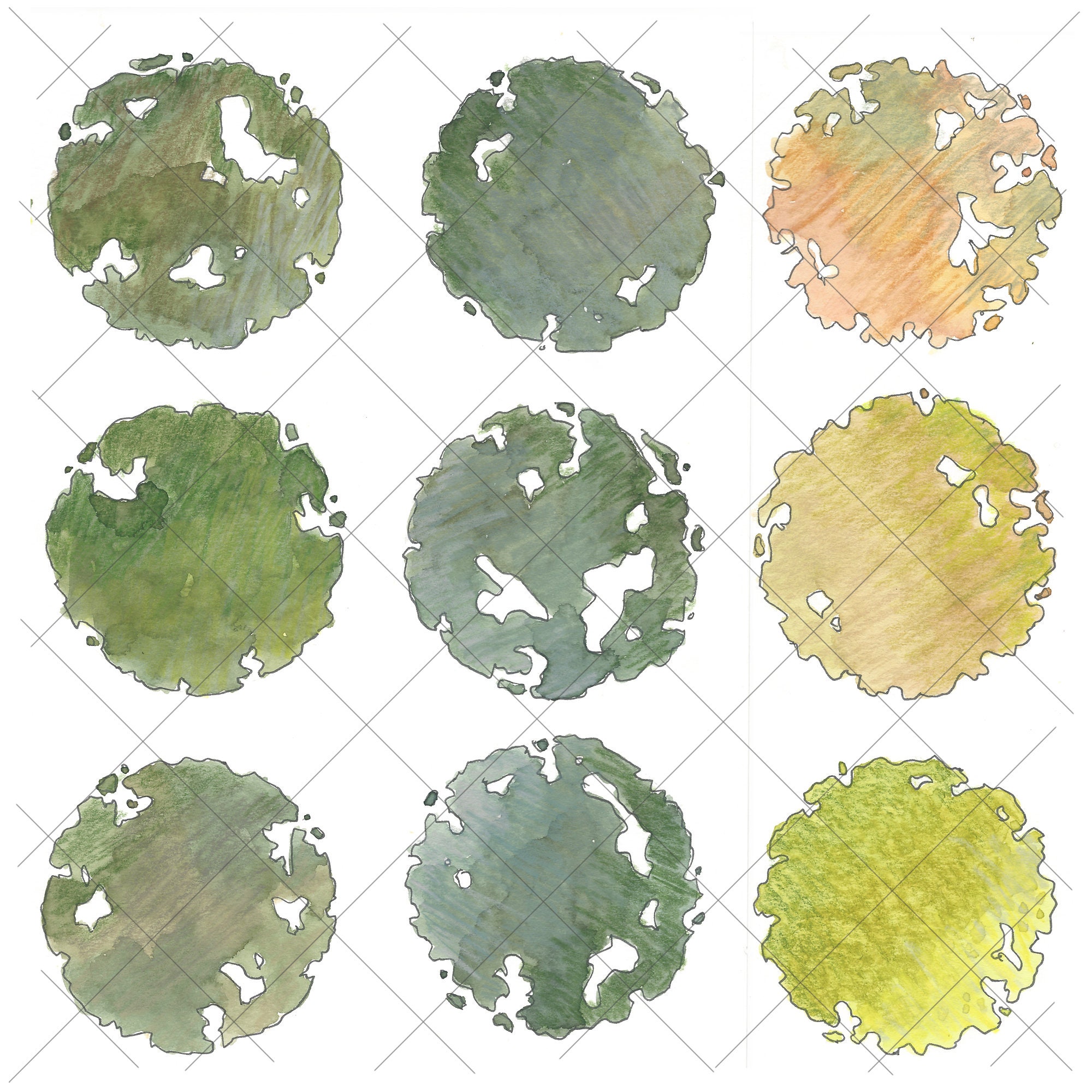 Landscape Graphics - Plan View Trees - Watercolor Pencil - Tree 001 ...