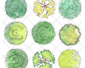 Landscape Graphics - Plan View Trees - Watercolor - Warm Green Variety ...