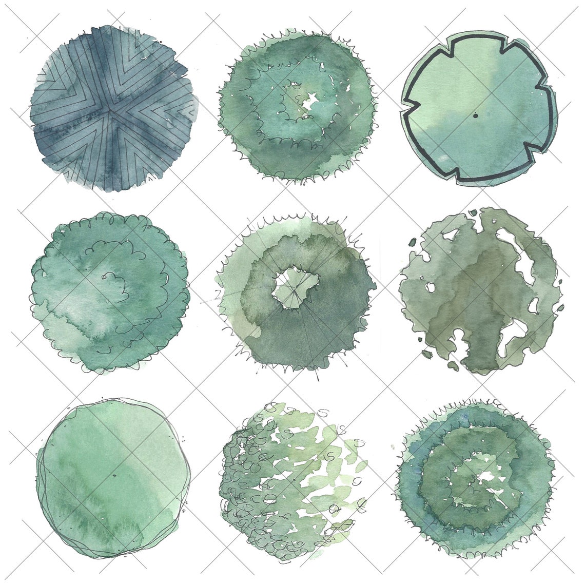 Landscape Graphics - Plan View Trees - Watercolor - Cool Green Variety ...