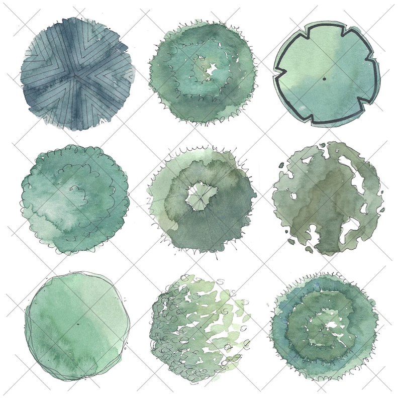 Landscape Graphics - Plan View Trees - Watercolor - Cool Green Variety ...