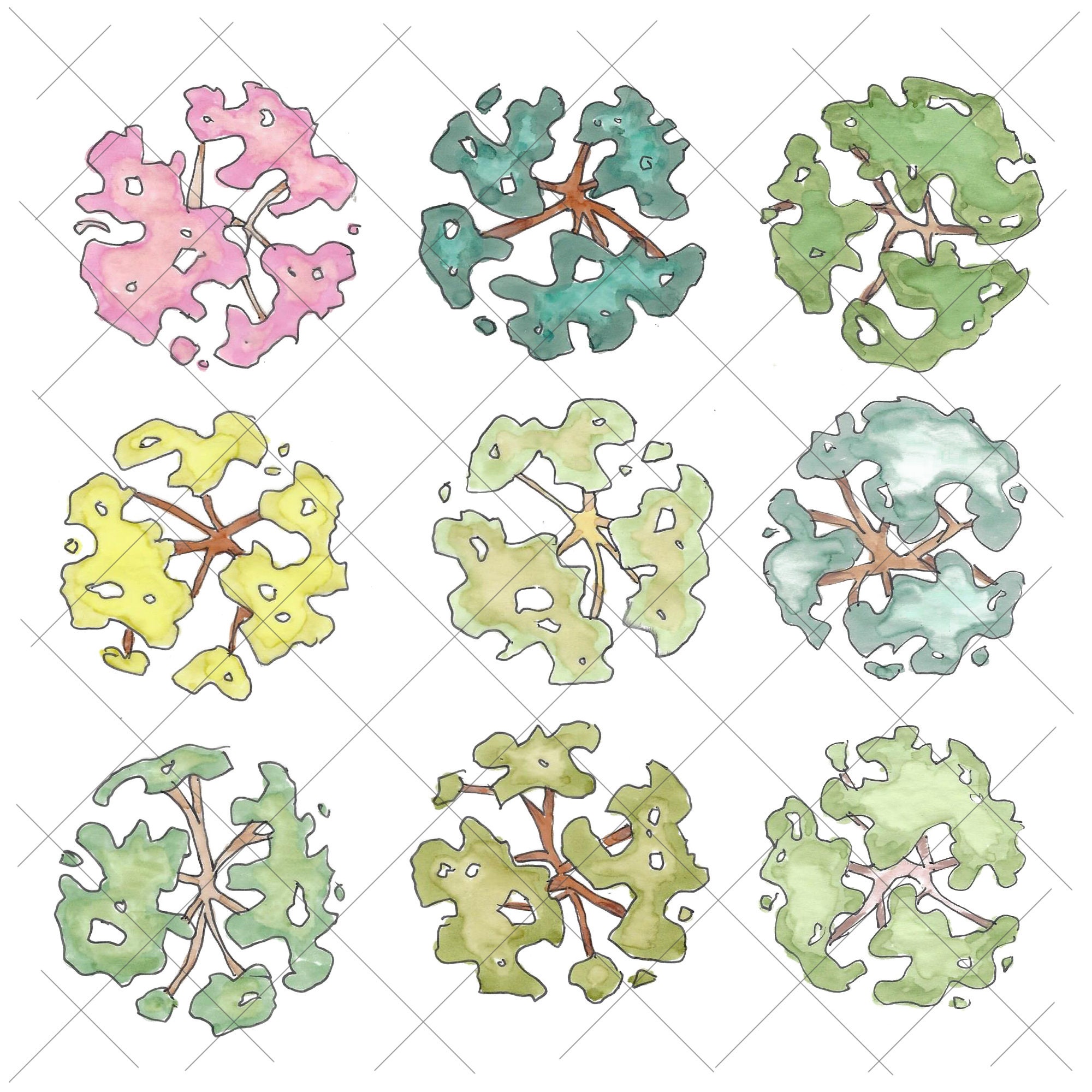 Landscape Graphics - Plan View Trees - Marker - Tree 011 - Etsy