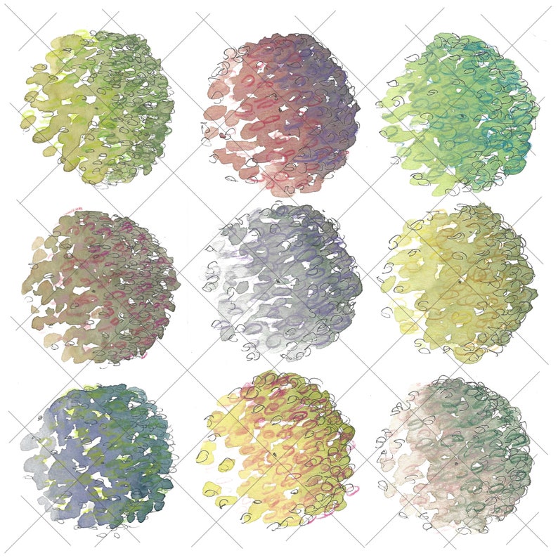 Landscape Graphics - Plan View Trees - Watercolor Pencil - Tree 014 - Etsy