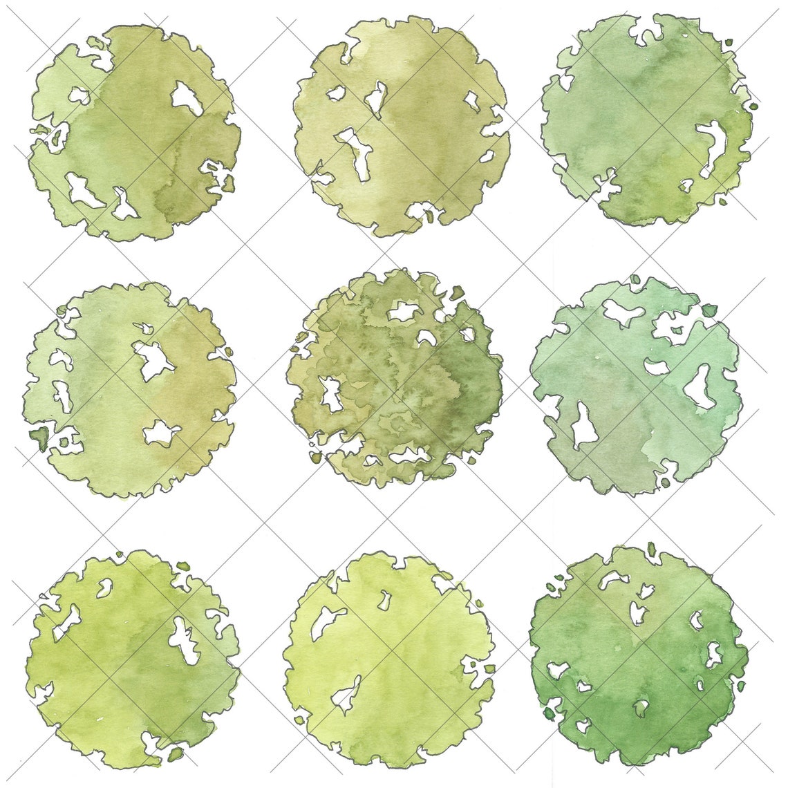 Landscape Graphics - Plan View Trees - Watercolor - Tree 001 - Part 2 ...