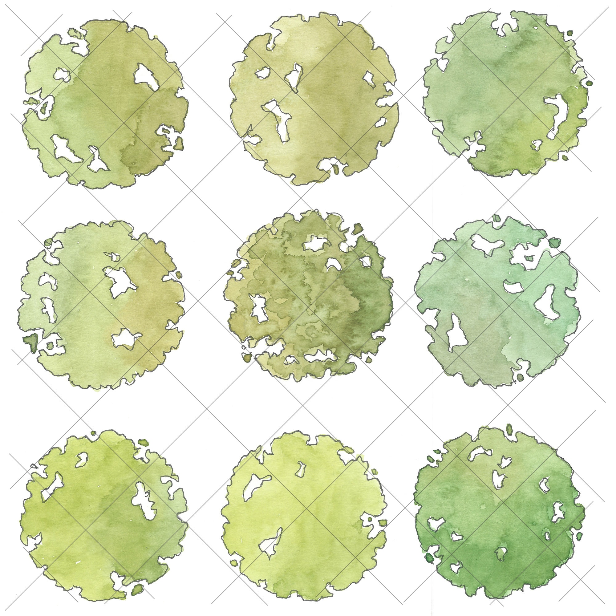 Landscape Graphics - Plan View Trees - Watercolor - Tree 001 - Part 2 ...