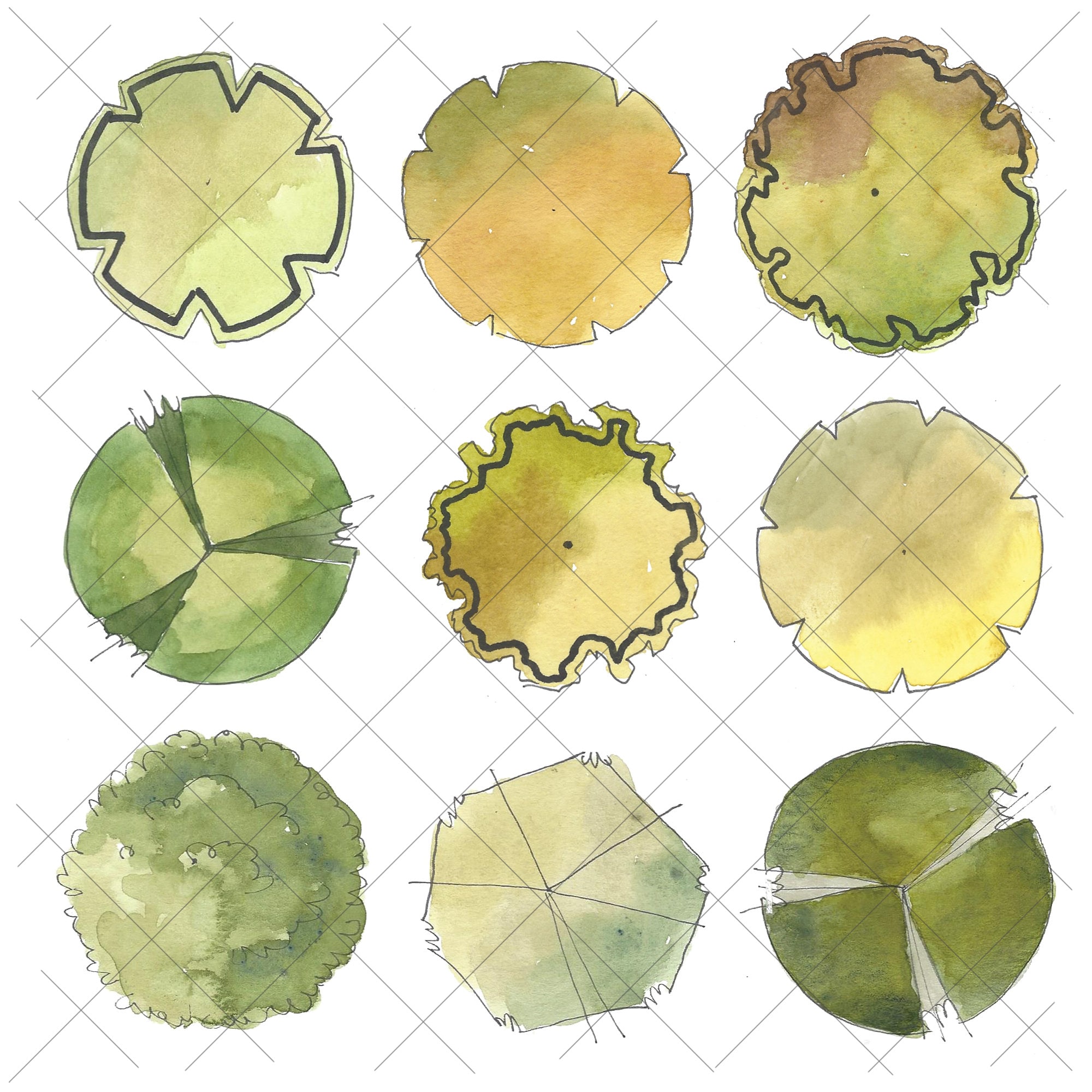 Landscape Graphics - Plan View Trees - Watercolor - Warm Green Variety ...