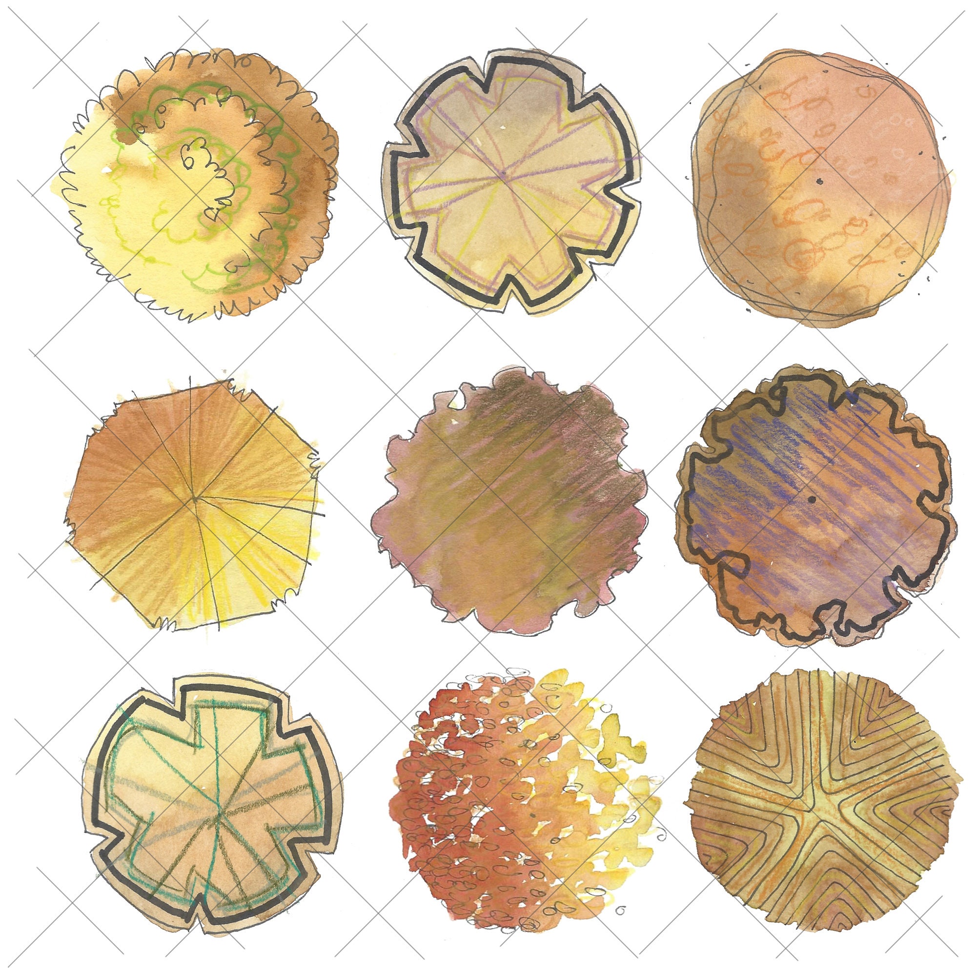 Landscape Graphics - Plan View Trees - Watercolor Pencil - Fall Variety ...