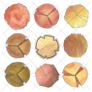 Landscape Graphics - Plan View Trees - Watercolor - Fall Variety - Etsy