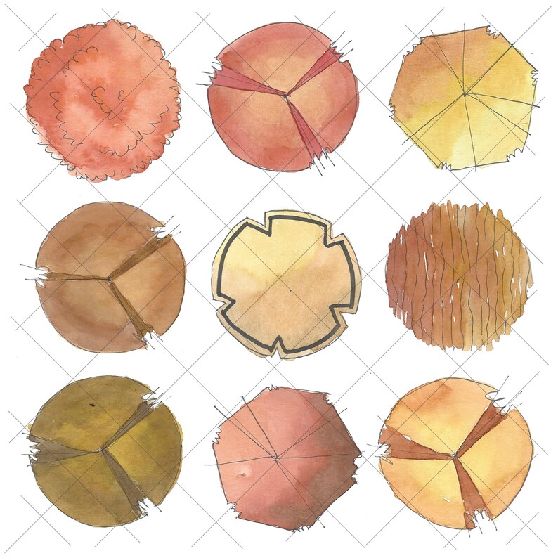 Landscape Graphics - Plan View Trees - Watercolor - Fall Variety - Etsy
