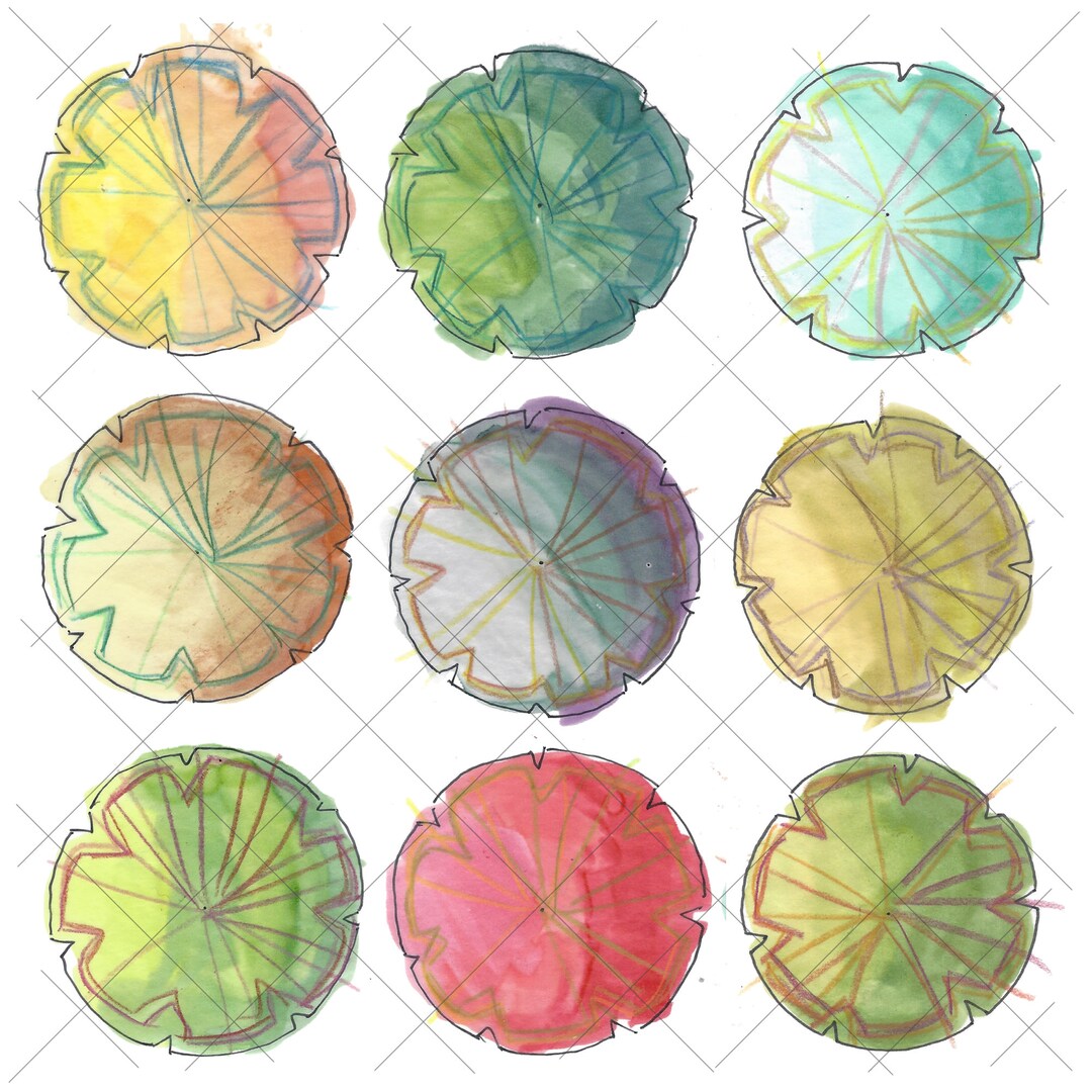 Landscape Graphics - Plan View Trees - Marker Pencil - Tree 017 - Etsy