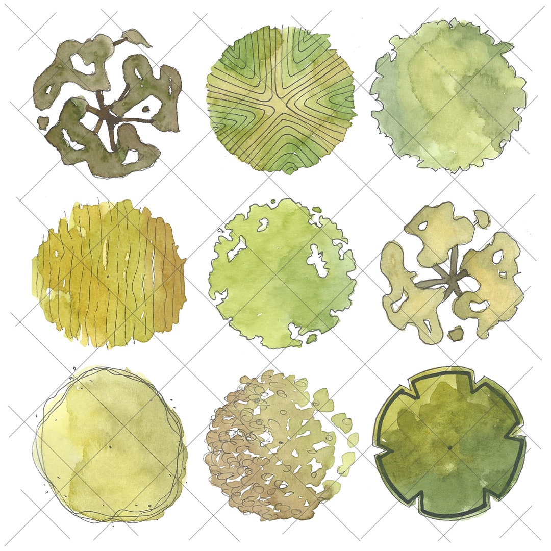 Landscape Graphics - Plan View Trees - Watercolor - Warm Green Variety ...