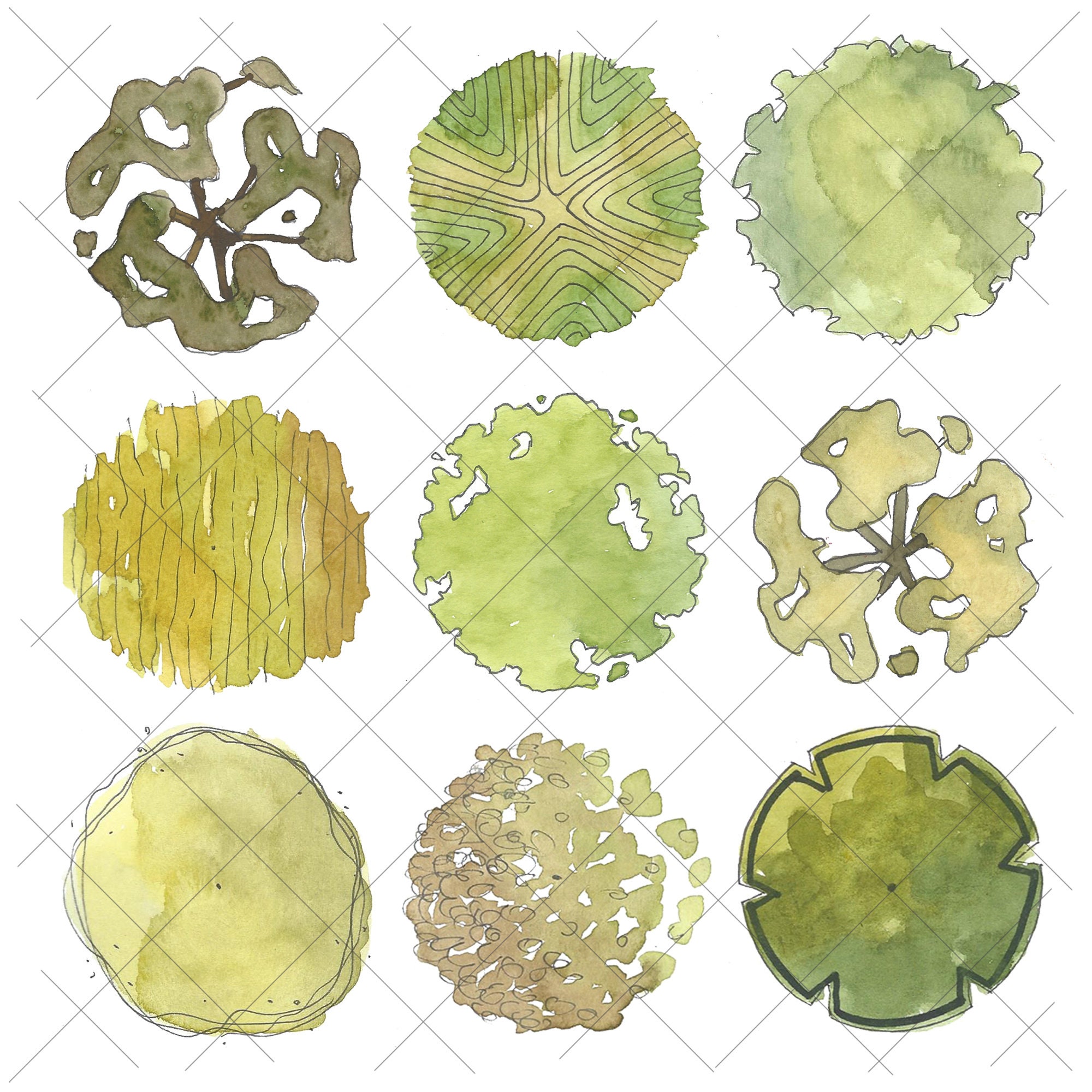 Landscape Graphics - Plan View Trees - Watercolor - Warm Green Variety ...