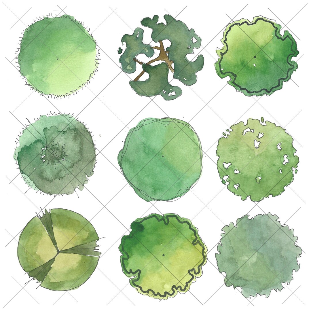 Landscape Graphics - Plan View Trees - Watercolor - Bright Green ...