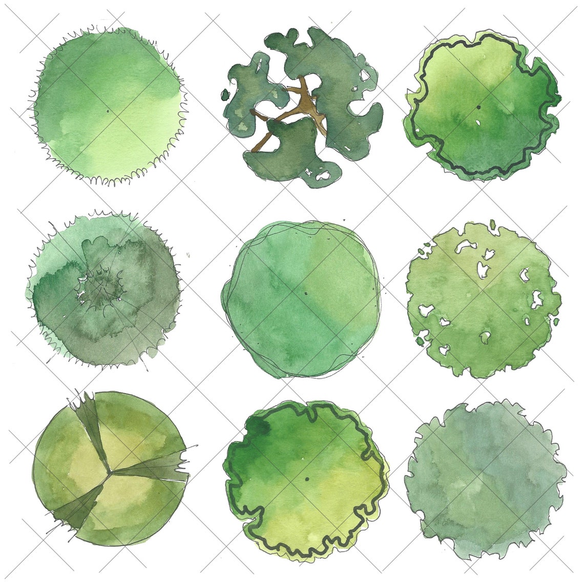 Landscape Graphics - Plan View Trees - Watercolor - Bright Green ...