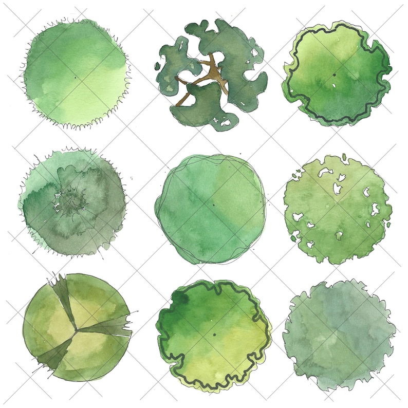Landscape Graphics - Plan View Trees - Watercolor - Bright Green ...