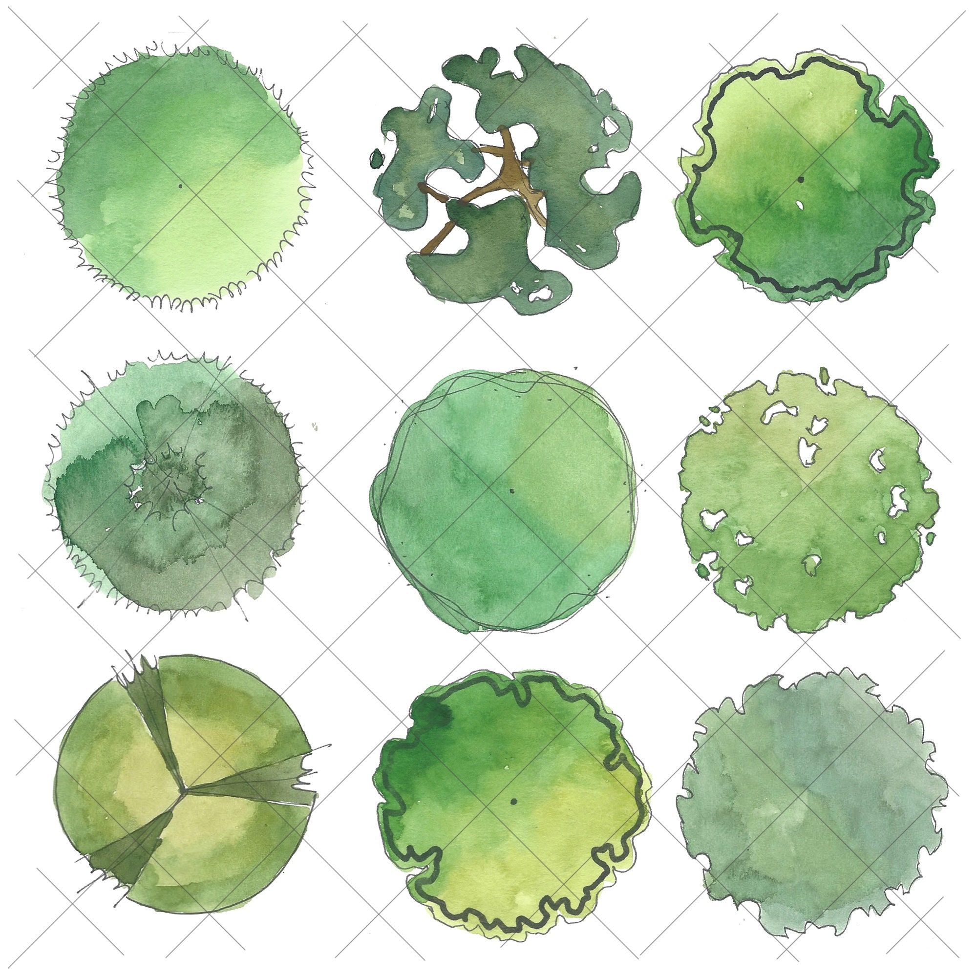 Landscape Graphics - Plan View Trees - Watercolor - Bright Green ...