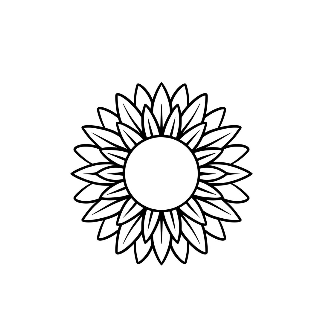 Sunflower Svg, Flower Svg, Outline Sunflower Svg, Sunflower Vector ...