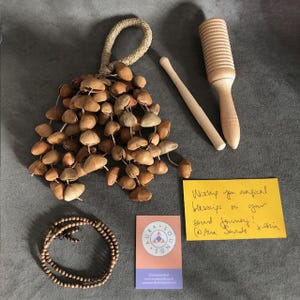 Seed Shell Shaker Cha Cha Nut Sound Healing Gift Box Back to Nature ...