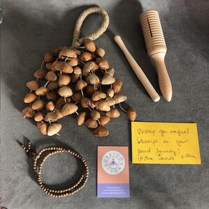 Seed Shell Shaker Cha Cha Nut Sound Healing Gift Box Back to Nature ...