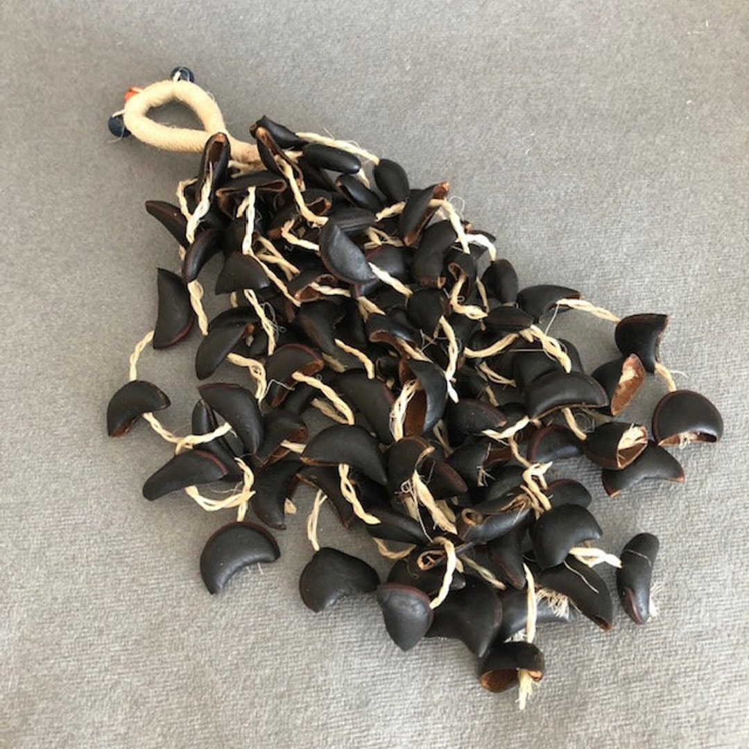 Nut Shell Cabalonga Shaker Trickling Water Sounds Natural - Etsy Australia