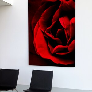 Red Rose Flower Floral Digital Download Botanical | Etsy