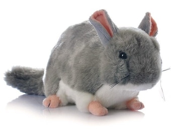 Stuffed Chinchilla Plush Toy | Etsy