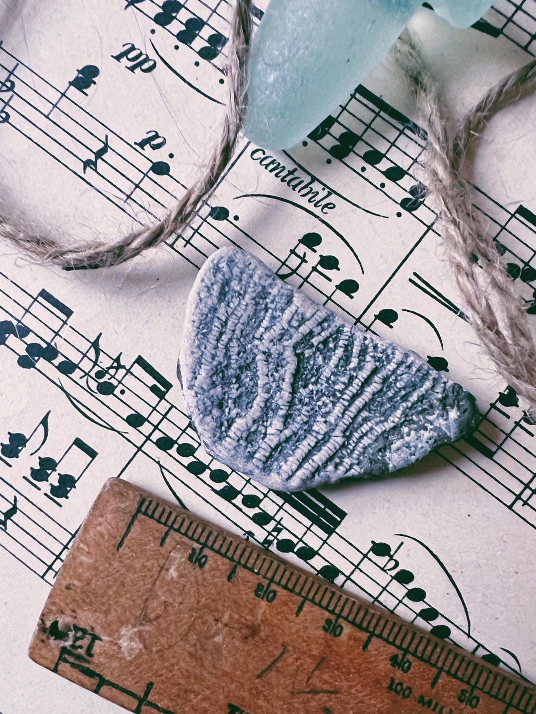 Rare Pentacrinites Crinoid Lily Stems Fossil Slab From Charmouth, UK - Etsy