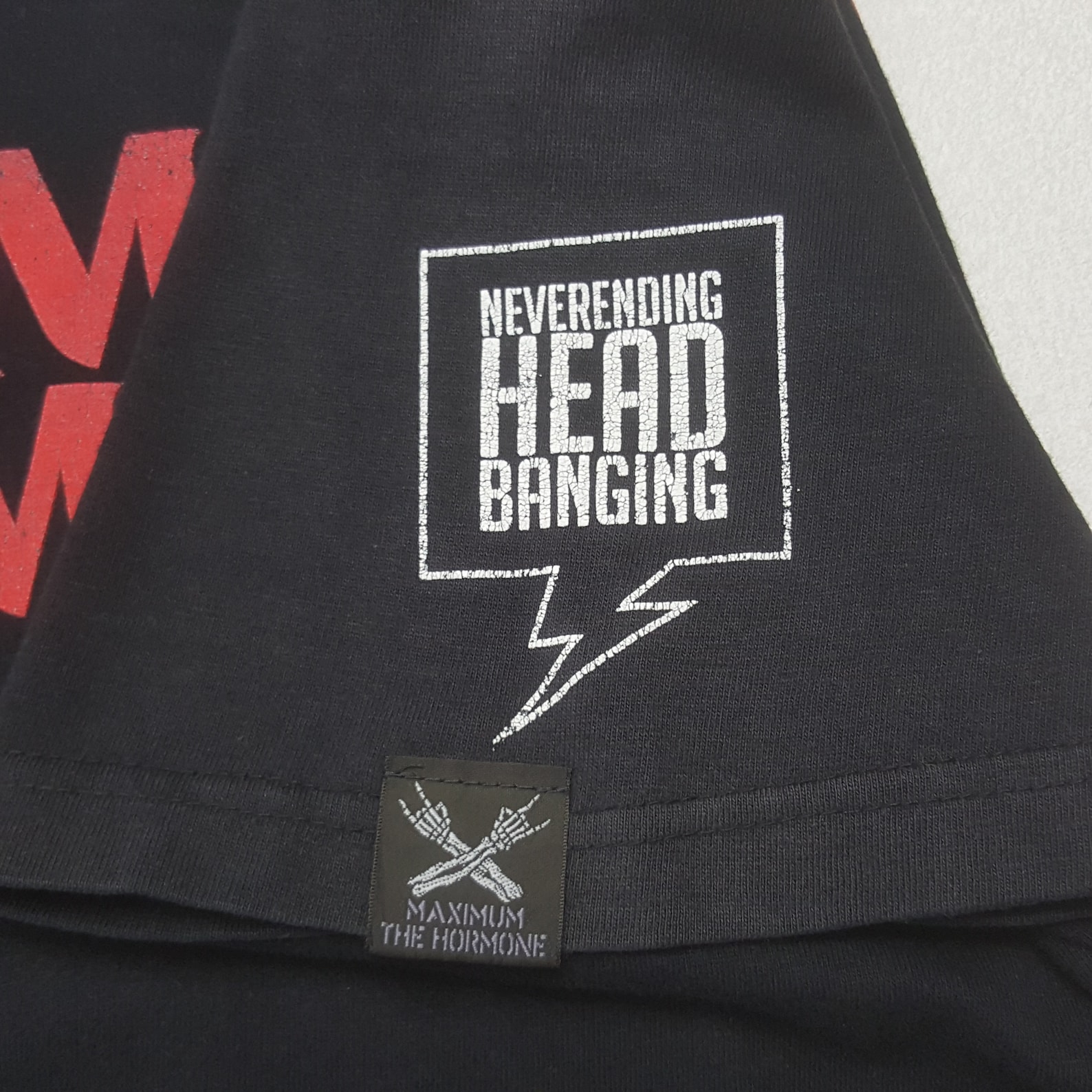 Vintage Maximum the Hormone Japanese Band Tshirt - Etsy