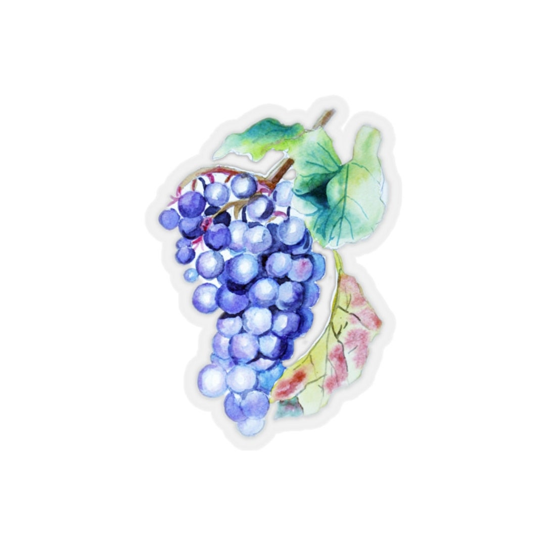 Kiss-cut Stickers, Laptop Stickers, Watercolor Stickers, Grape Stickers ...