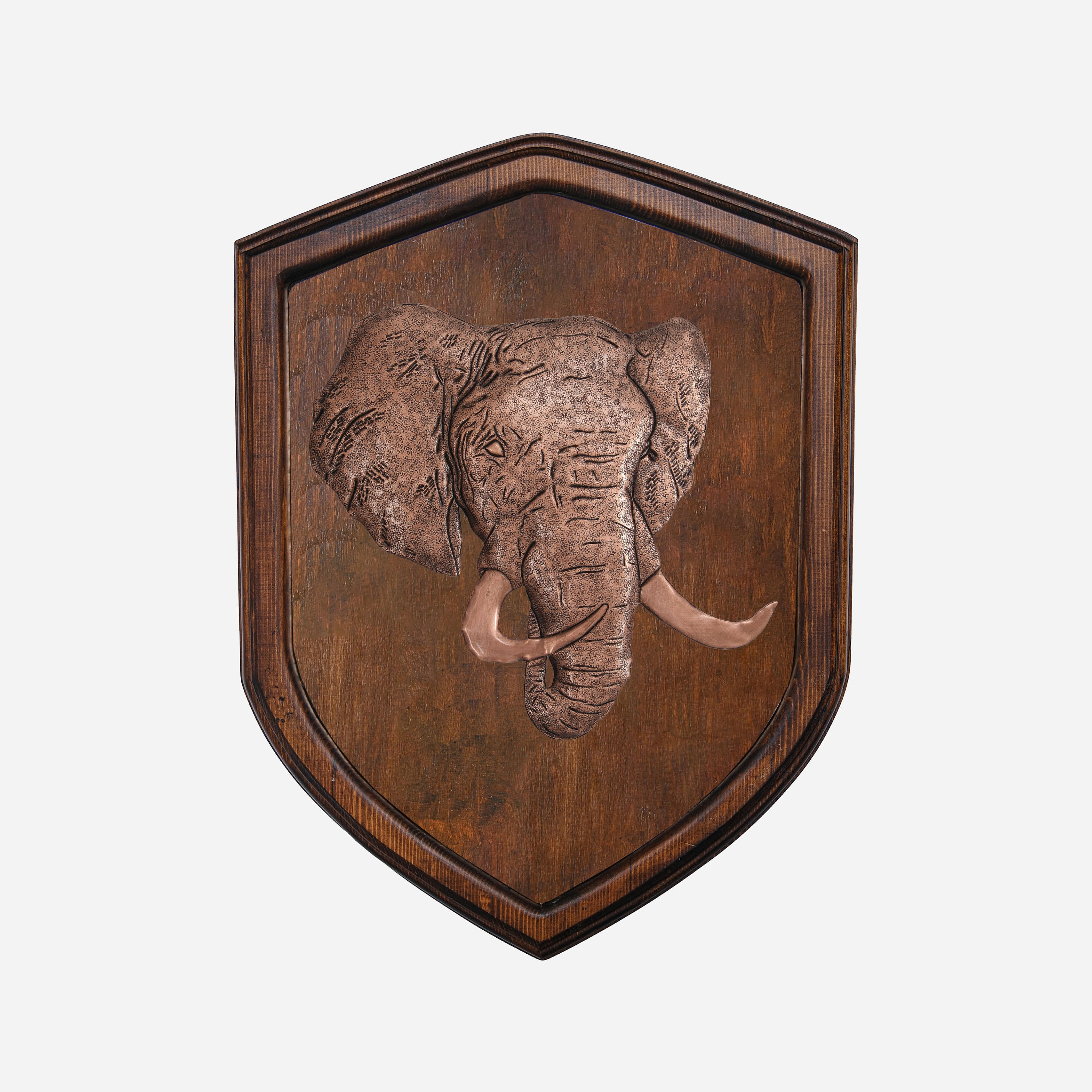 Indian Elephant Head Art