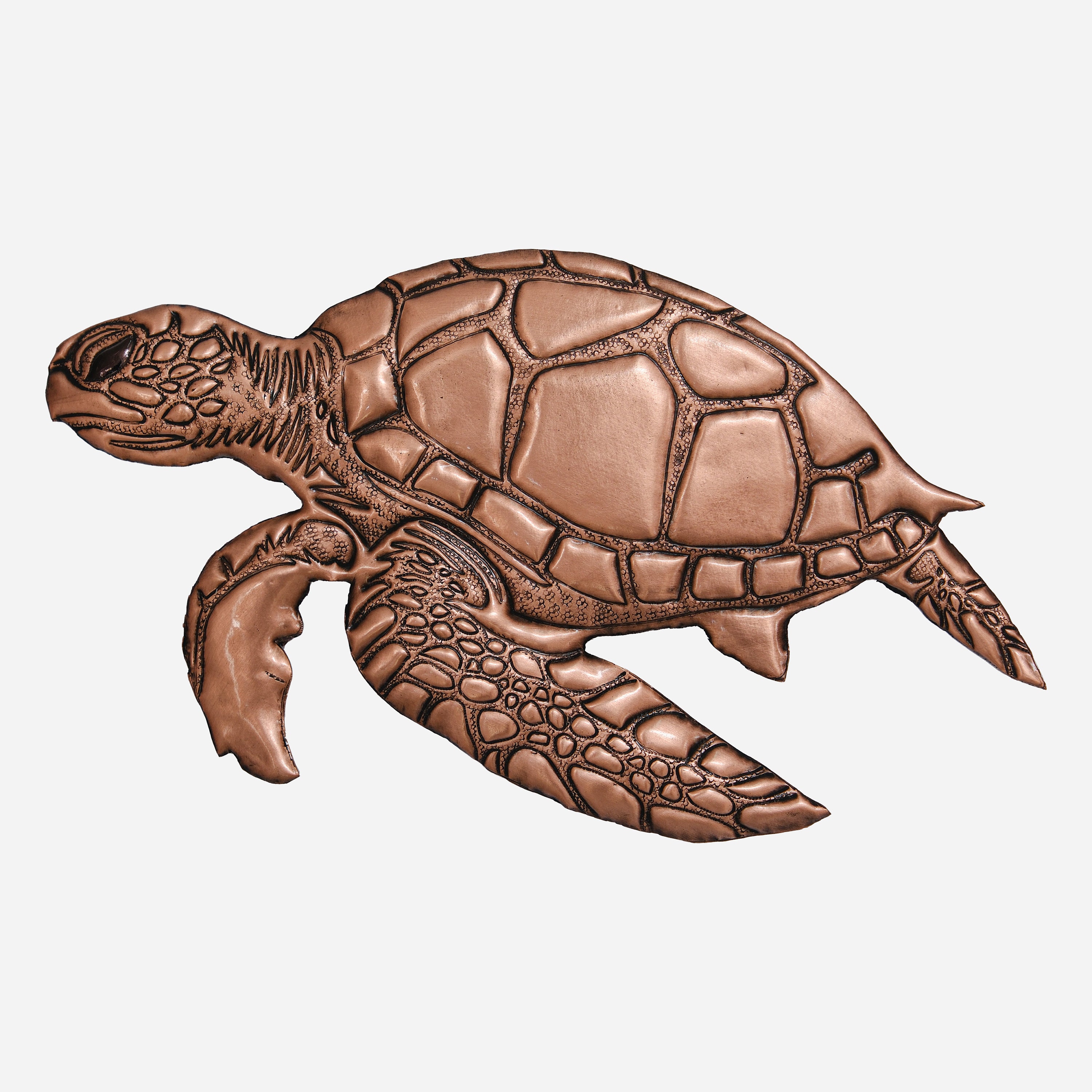 Caretta Caretta Clipart