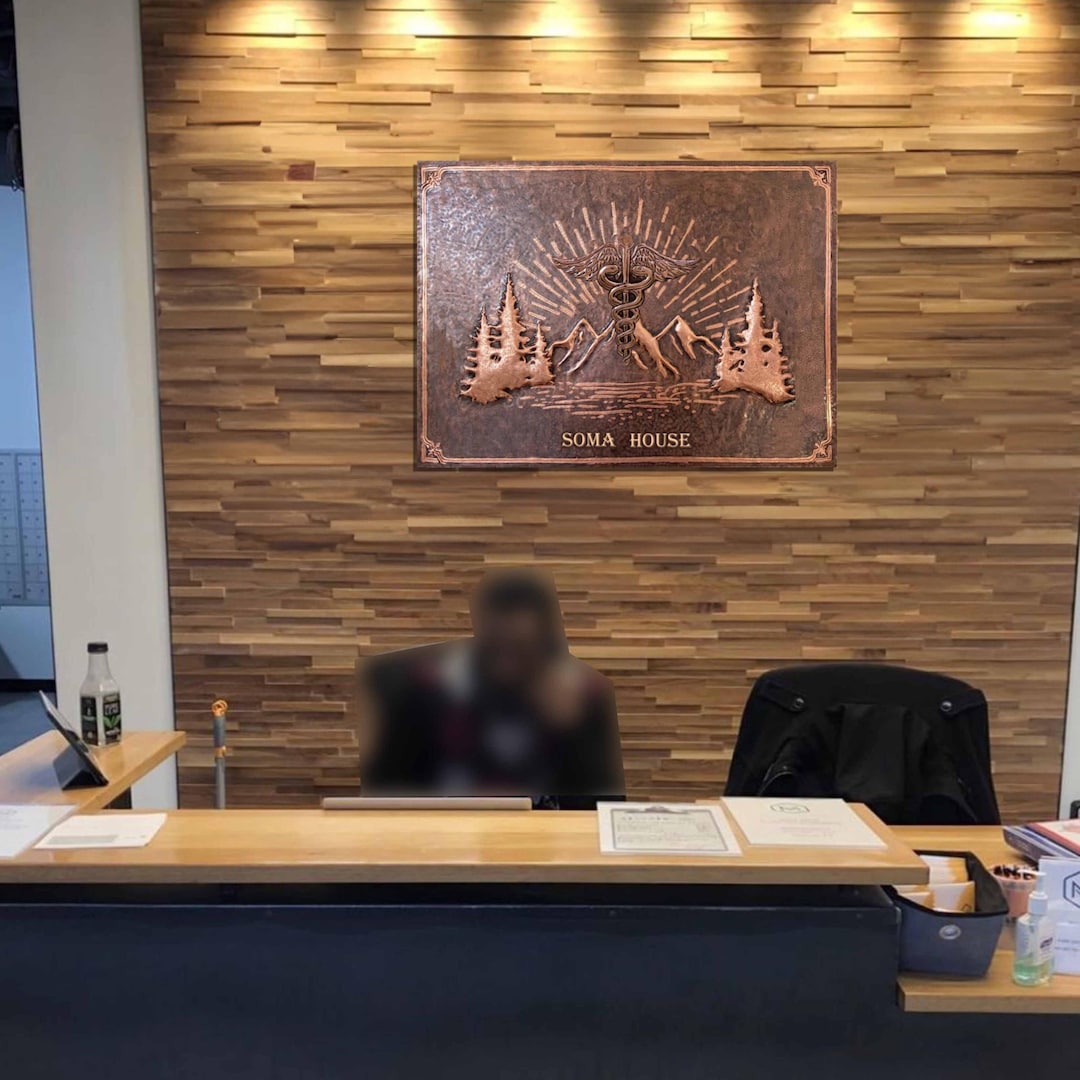 Medical Clinic Plaque Sign, Custom Hospital Sign, Personalized Medical ...